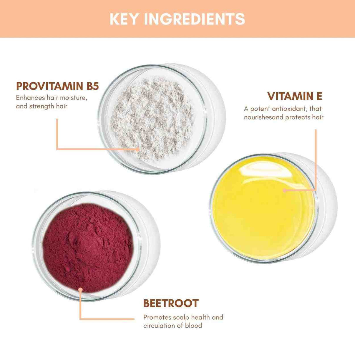 Buy Lukewarm Ceramide & Vitamin Daily Defence Shampoo, 200ml : Lukewarm ...